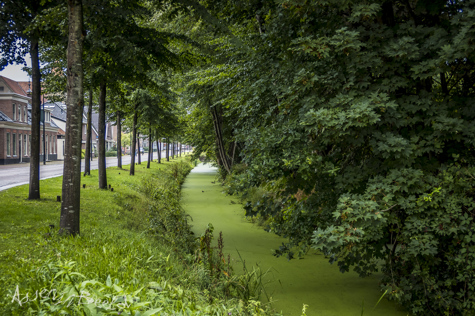 Zuidersingel in het groen – Assen in beeld