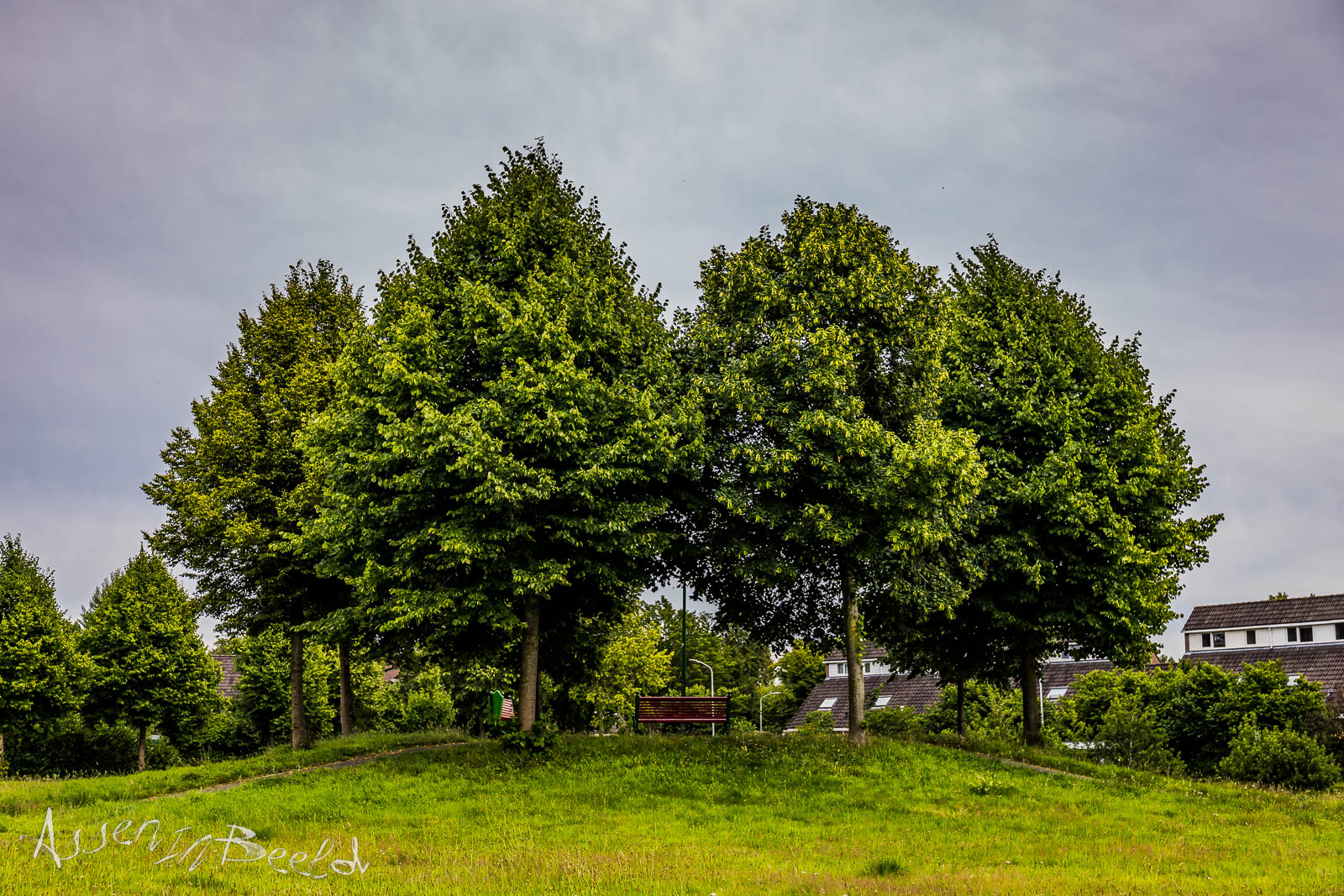 De heuvel van Peelo – Assen in beeld